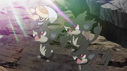 Rattata d'Alola — Poképédia