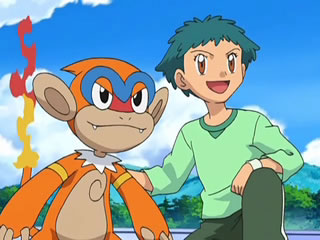 Chimpenfeu — Poképédia