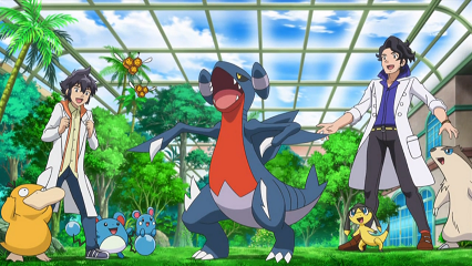 Carmache — Poképédia