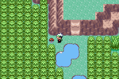 Route 119 — Poképédia