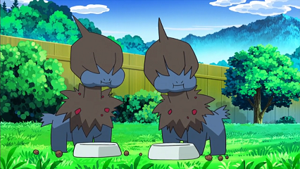 Solochi — Poképédia