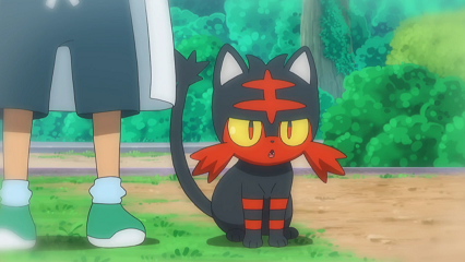 Flamiaou — Poképédia