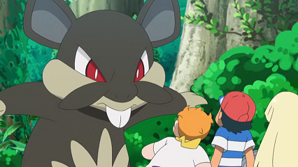 Rattata d'Alola — Poképédia