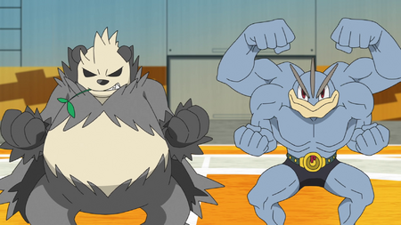 Faïza/Pokémon, la série — Poképédia