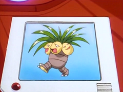 Noadkoko — Poképédia