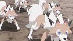 Alyxia — Poképédia