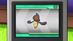 Tutafeh — Poképédia