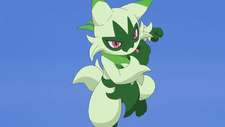 Liko — Poképédia