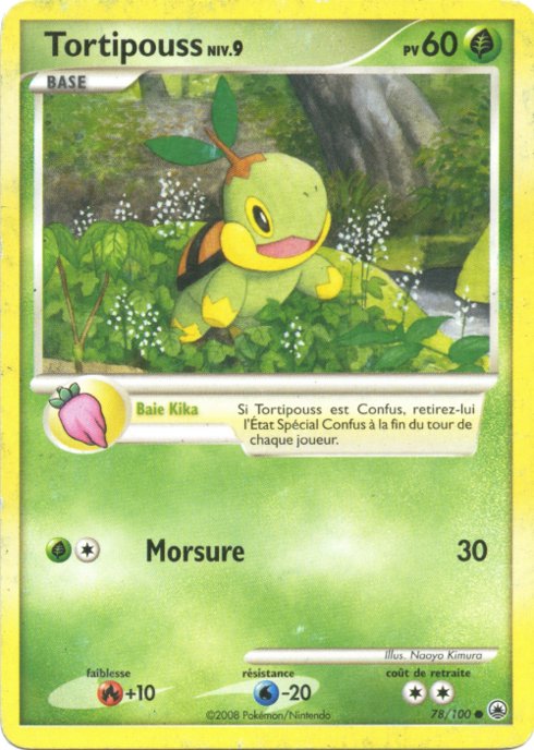 Tortipouss (Diamant & Perle Aube Majestueuse 78) — Poképédia
