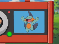 Flobio — Poképédia