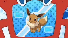 Évoli — Poképédia