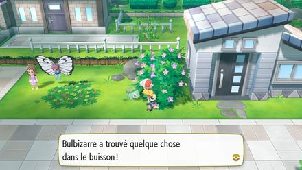 Argenta — Poképédia