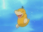 PC16 — Poképédia