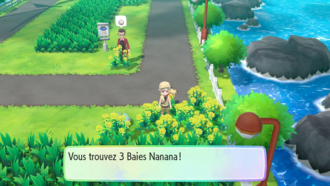 Route 17 (Kanto) — Poképédia