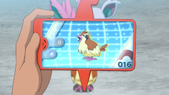 Roucool — Poképédia