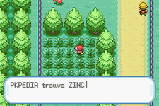 Route 14 (Kanto) — Poképédia