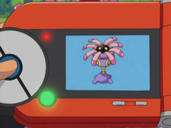 Lilia — Poképédia