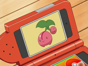 Ceribou — Poképédia