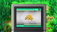 Statitik — Poképédia