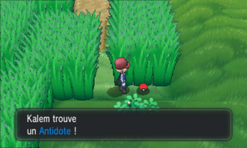 Route 6 (Kalos) — Poképédia