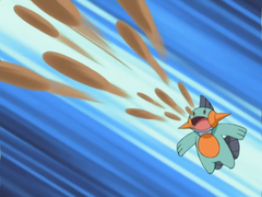 Flobio de Pierre — Poképédia