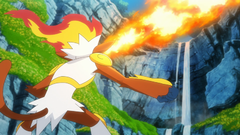 Simiabraz de Sacha — Poképédia