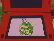 Tarpaud — Poképédia