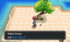 Route 8 (Kalos) — Poképédia
