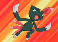 Harrison (Hoenn) — Poképédia