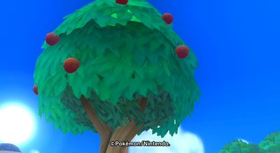 Baie (PokéPark) — Poképédia