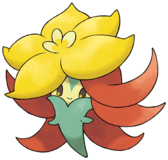 Tournicoton — Poképédia