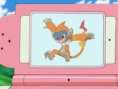 Chimpenfeu — Poképédia