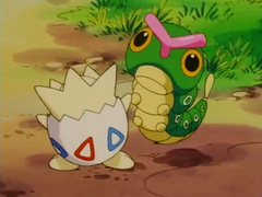 EP161 — Poképédia