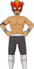 Professeur Euphorbe — Poképédia