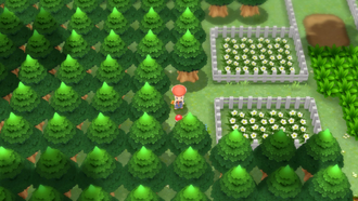 Route 204 — Poképédia