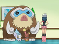 DP133 — Poképédia