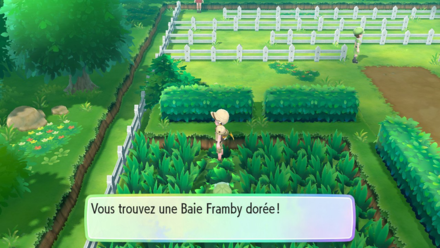 Route 14 (Kanto) — Poképédia