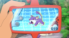 Rattata — Poképédia