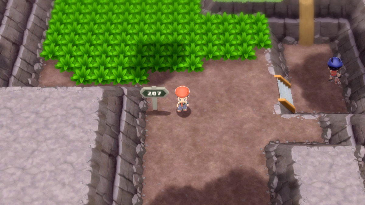 Route 207 — Poképédia