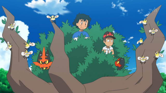 SL125 — Poképédia