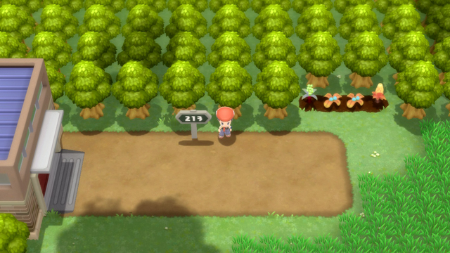 Route 213 — Poképédia