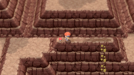 Route 211 — Poképédia