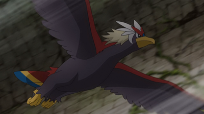 Professeur Euphorbe/Pokémon, la série — Poképédia