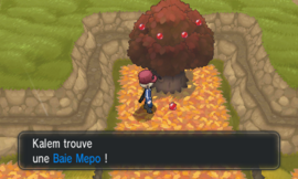 Route 15 (Kalos) — Poképédia
