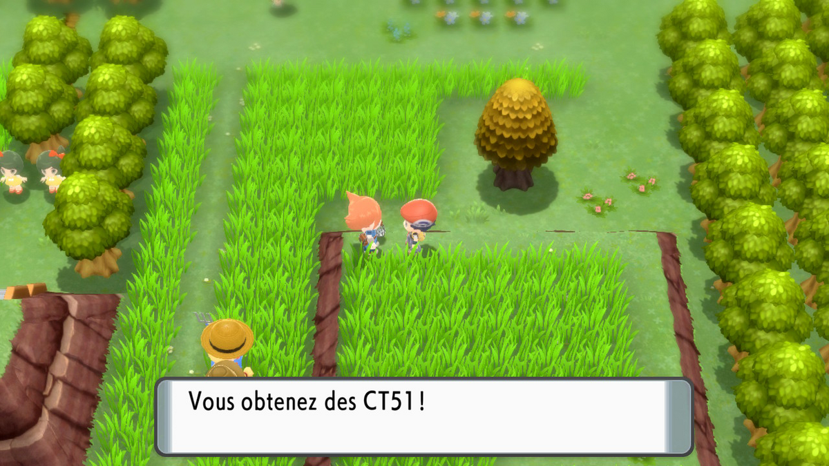 Fichier:Route 210 CT51 DEPS.png — Poképédia
