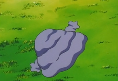 Grotadmorv de Sacha — Poképédia