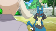 XY032 — Poképédia