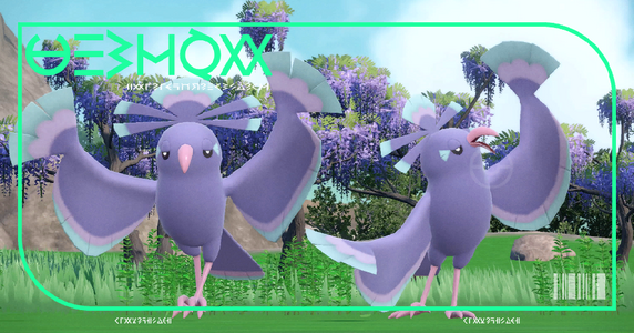 Plumeline/Imagerie/Pom-Pom — Poképédia