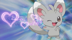 Chinchidou de Bianca — Poképédia