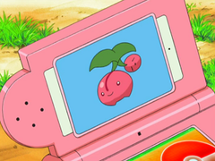 Ceribou — Poképédia